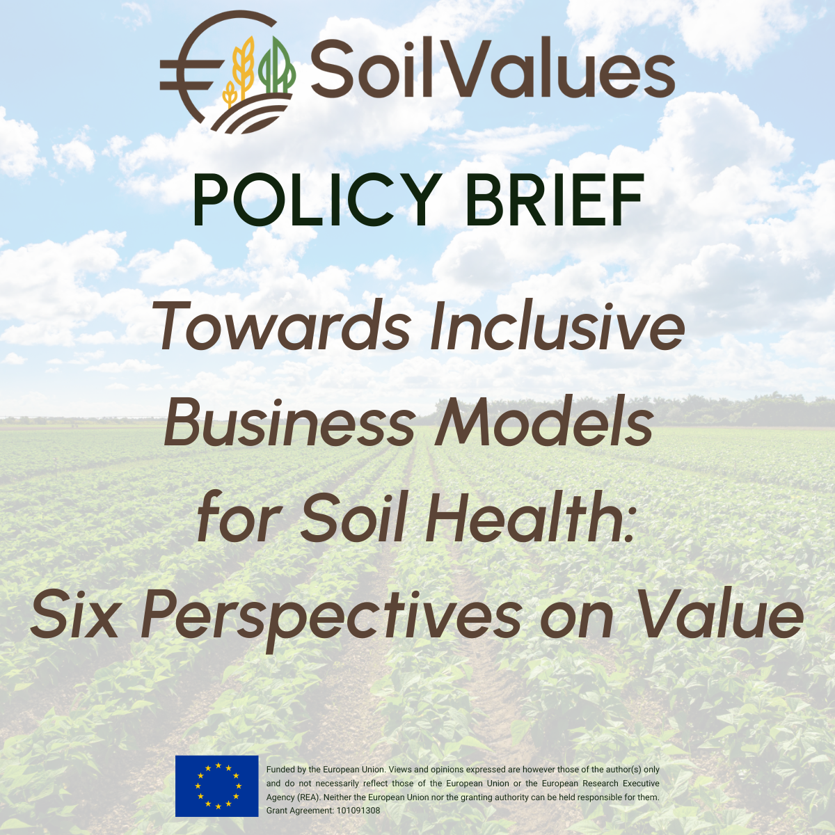 Towards inclusive business models for soil health: six perspectives on ...